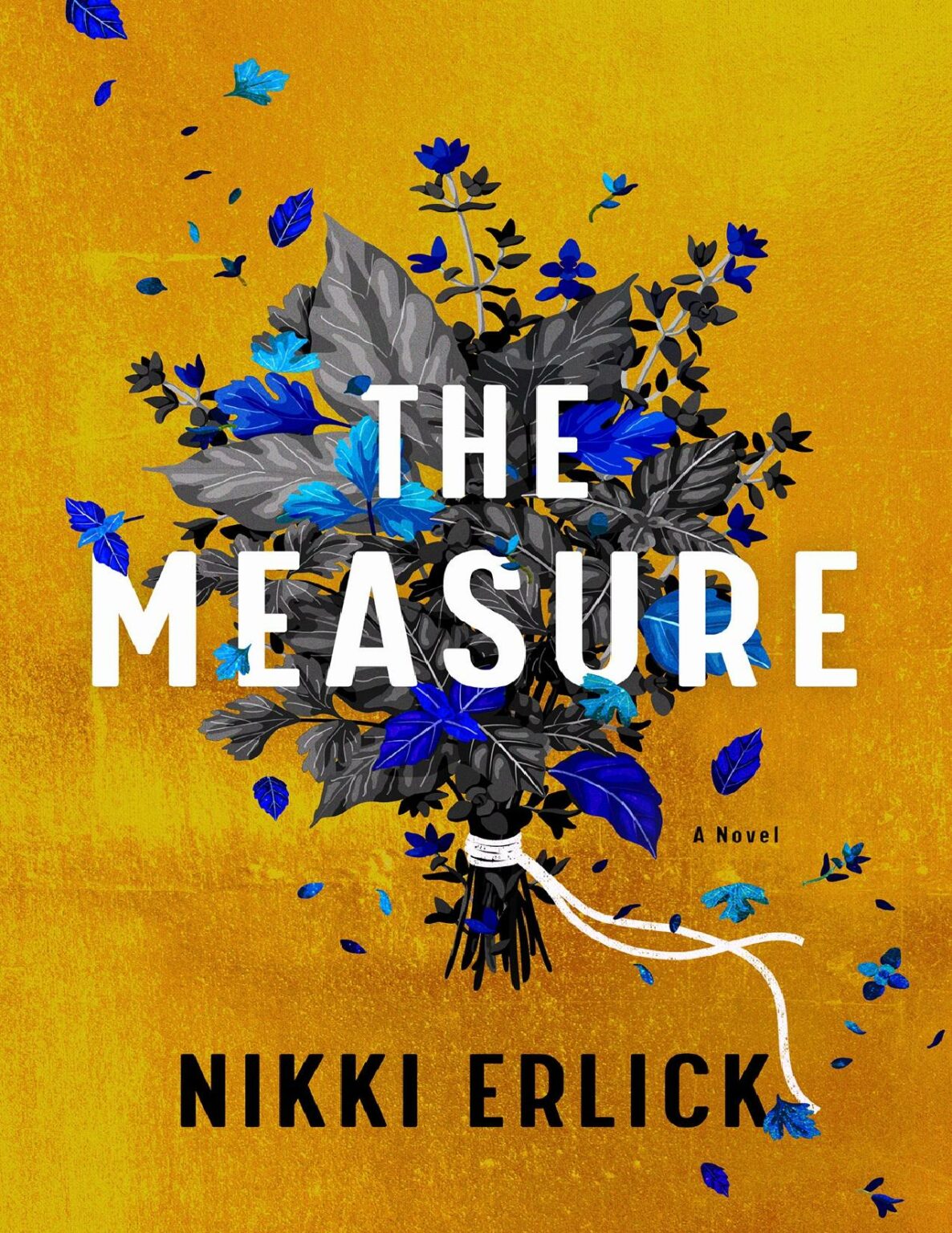 The Measure by Nikki Erlick PDF, EPUB Download or Read Online