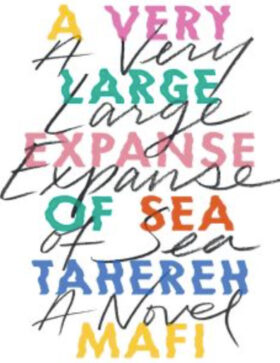 A Very Large Expanse of Sea by Tahereh Mafi PDF, EPUB Download or Read Online