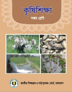 All NCTB Books of Class 7 PDF Download