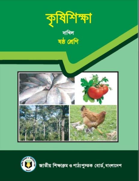 All NCTB Madrasa Books PDF Collection - BDeBooks.com